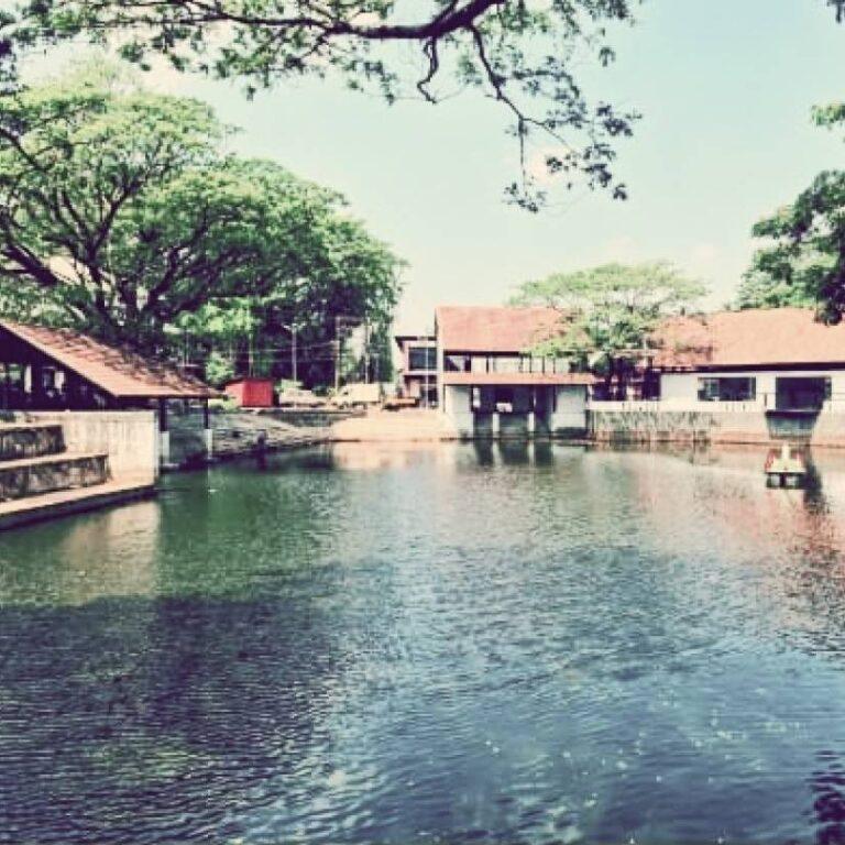 Discover Oho Beach: A Hidden Gem in Thambankadavu