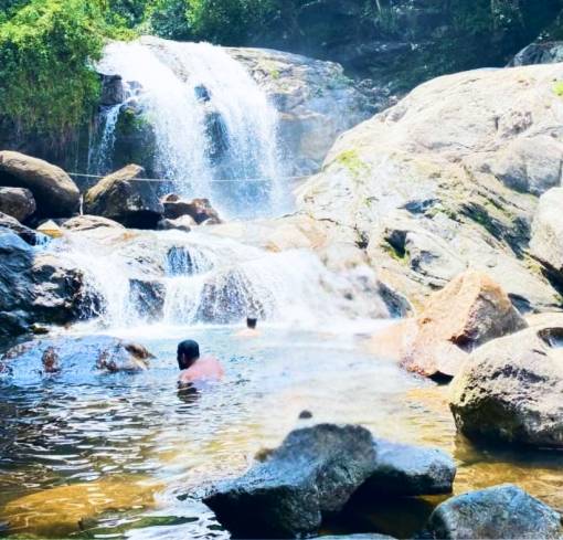 Discover Anayadikuthu Waterfalls: Best Times to Visit 2025