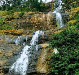 Discover Anayadikuthu Waterfalls: Best Times to Visit 2025