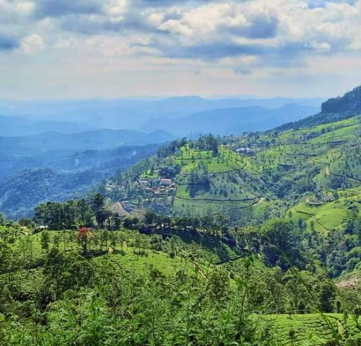 Discover Anayadikuthu Waterfalls: Best Times to Visit 2025