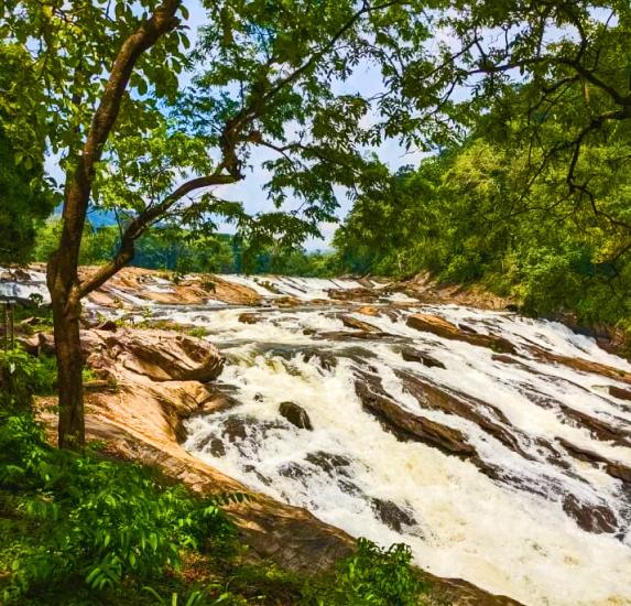 Discover Vazhachal Waterfalls: Kerala’s Hidden Gem 2025